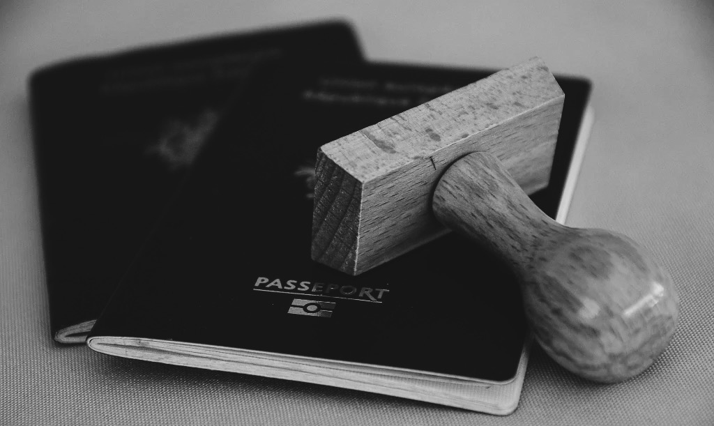 Citizenship Revocation: An Opportunity for Change in Ireland – UCD Law ...
